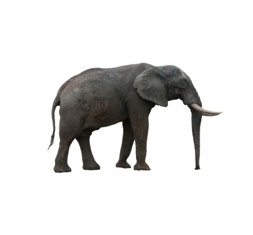 Number Shape System 10 - 20 - General Memory Chat - Art of Memory Forum