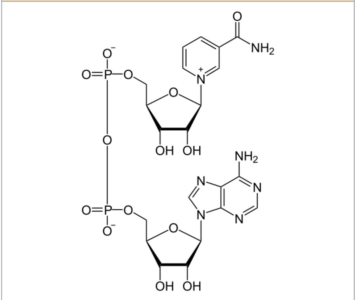 3D molecules for chemistry - Homework and Study Help - Art of Memory Forum