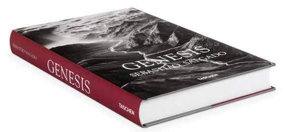 Can't remember virtual memory palace - General Memory Chat - Art of Memory Forum