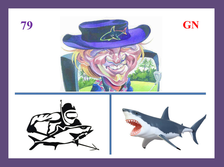 Most favourite and novel image in your Dominic System's PAO - General ...